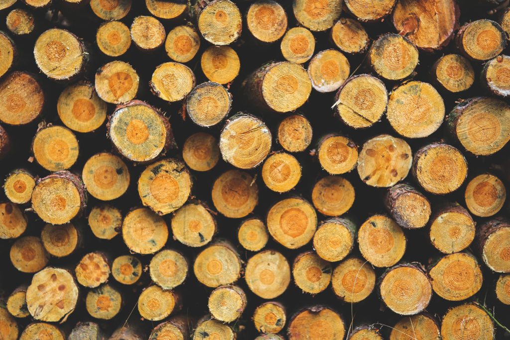 wood-forest-fire-fireplace - The Music of Craig Petrie